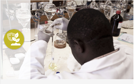 Section: Surveillance and pest status | IPPC PLANT HEALTH CAMPUS | FAO elearning Academy